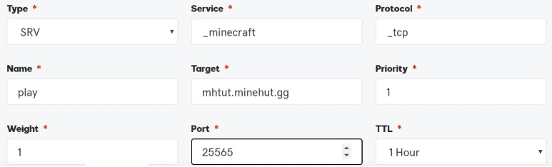 How do I set up a custom domain? – Minehut